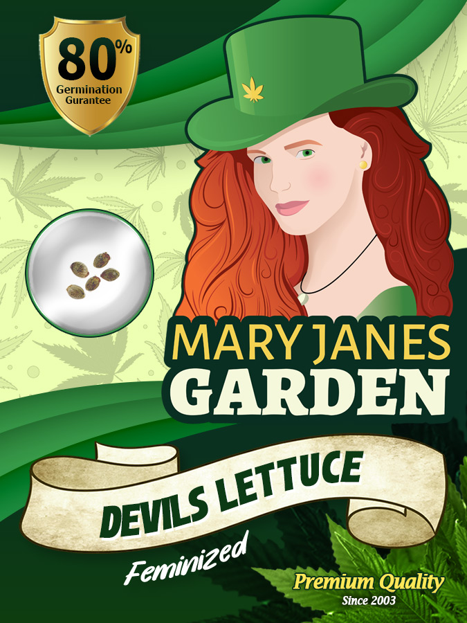 Devils Lettuce Strain Feminized Marijuana Seeds | Mary Jane's Garden