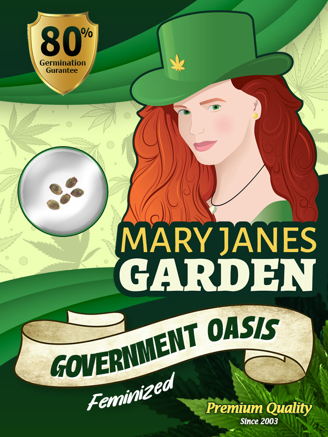 Government Oasis Strain Feminized Marijuana Seeds | Mary Jane's Garden