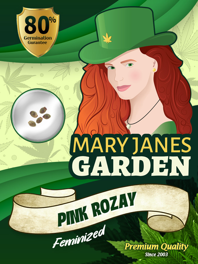 Pink Rozay Strain Feminized Marijuana Seeds | Mary Jane's Garden