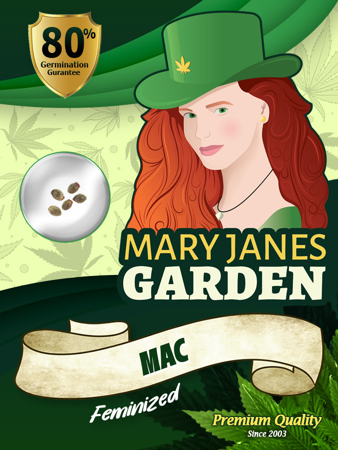 MAC Strain Feminized Marijuana Seeds | Mary Jane's Garden