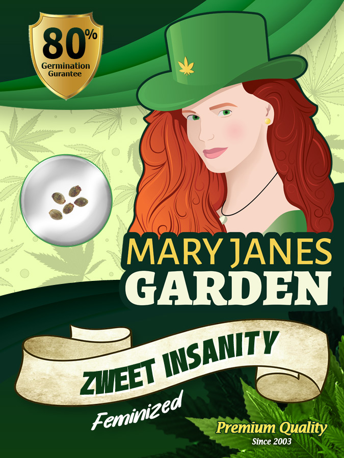 Zweet Insanity Strain Feminized Marijuana Seeds | Mary Jane's Garden
