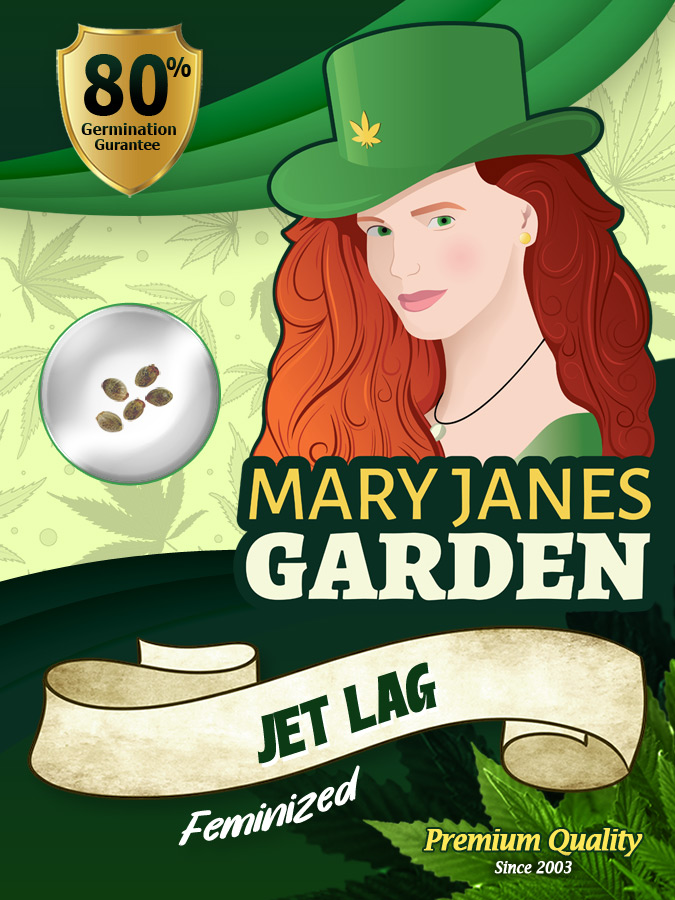 Jet Lag Strain Feminized Marijuana Seeds | Mary Jane's Garden